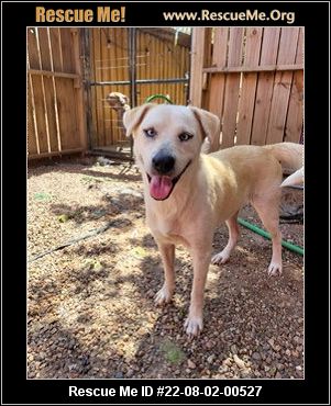 - Oregon Dog Rescue - ADOPTIONS - Rescue Me!