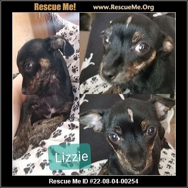 - Colorado Dog Rescue - ADOPTIONS - Rescue Me!