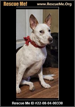 - Oregon Dog Rescue - ADOPTIONS - Rescue Me!