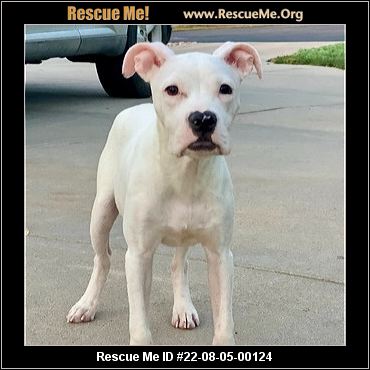 - Colorado Dog Rescue - ADOPTIONS - Rescue Me!
