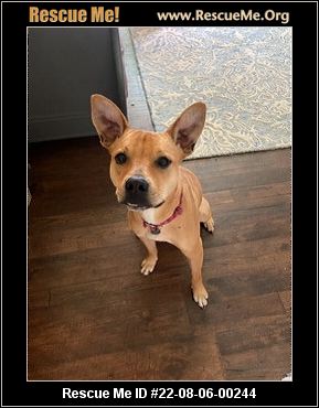 - Alabama Dog Rescue - ADOPTIONS - Rescue Me!