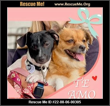 - California Corgi Rescue - ADOPTIONS - Rescue Me!