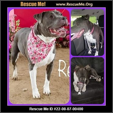 - Pennsylvania Dog Rescue - ADOPTIONS - Rescue Me!