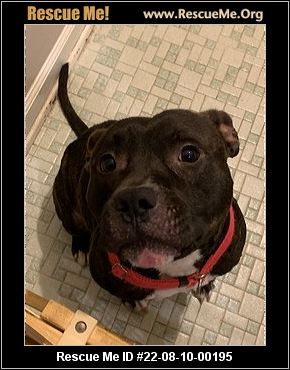 - North Carolina Dog Rescue - ADOPTIONS - Rescue Me!