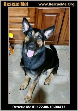- Texas German Shepherd Rescue - ADOPTIONS - Rescue Me!