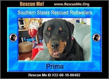 - North Carolina Dog Rescue - ADOPTIONS - Rescue Me!