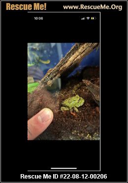 - Illinois Reptile/Amphibian Rescue - ADOPTIONS - Rescue Me!