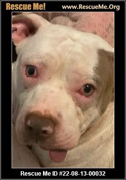 - North Carolina Dog Rescue - ADOPTIONS - Rescue Me!