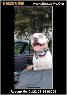 - North Carolina Dog Rescue - ADOPTIONS - Rescue Me!