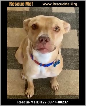 - North Carolina Dog Rescue - ADOPTIONS - Rescue Me!