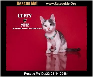 - California Cat Rescue - ADOPTIONS - Rescue Me!