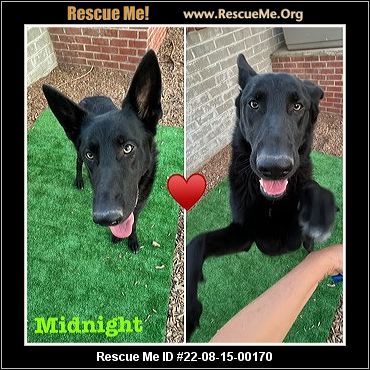 - Oregon Dog Rescue - ADOPTIONS - Rescue Me!