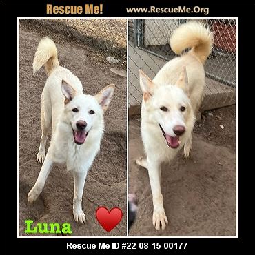 - Oregon Dog Rescue - ADOPTIONS - Rescue Me!