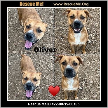 - Oregon Dog Rescue - ADOPTIONS - Rescue Me!