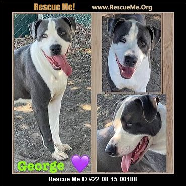 - Oregon Dog Rescue - ADOPTIONS - Rescue Me!