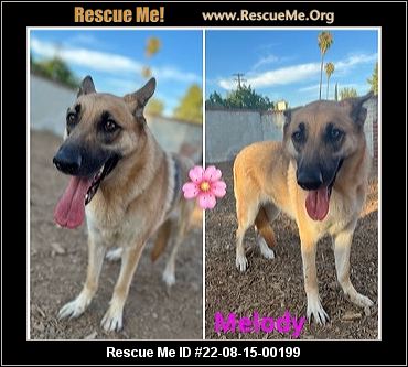 - Oregon Dog Rescue - ADOPTIONS - Rescue Me!