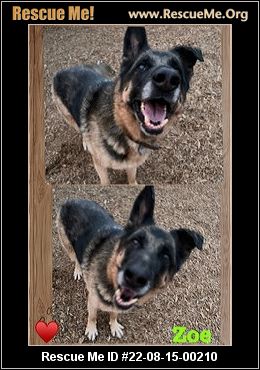 - Oregon Dog Rescue - ADOPTIONS - Rescue Me!