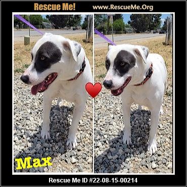 - Oregon Dog Rescue - ADOPTIONS - Rescue Me!