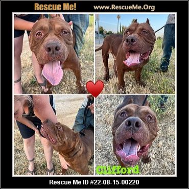 - Oregon Dog Rescue - ADOPTIONS - Rescue Me!