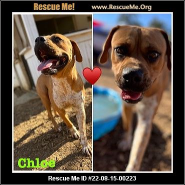 - Oregon Dog Rescue - ADOPTIONS - Rescue Me!