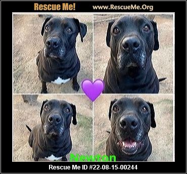 - Oregon Dog Rescue - ADOPTIONS - Rescue Me!
