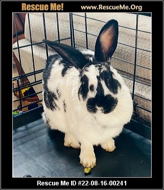 - Pennsylvania Rabbit Rescue - ADOPTIONS - Rescue Me!