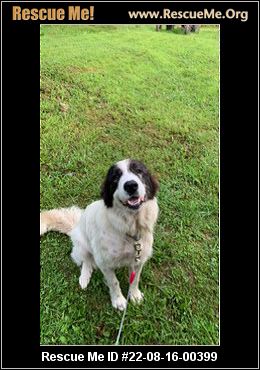 - Pennsylvania Dog Rescue - ADOPTIONS - Rescue Me!