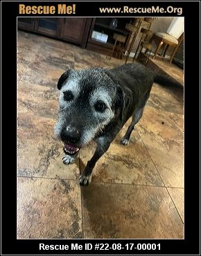 - Oregon Dog Rescue - ADOPTIONS - Rescue Me!