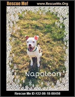 - Maryland Dog Rescue - ADOPTIONS - Rescue Me!