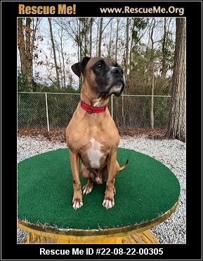 - Alabama Boxer Rescue - ADOPTIONS - Rescue Me!