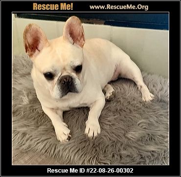 - Nevada Dog Rescue - ADOPTIONS - Rescue Me!