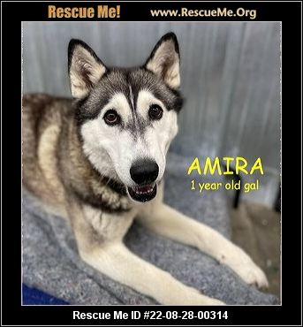 - Idaho Dog Rescue - ADOPTIONS - Rescue Me!