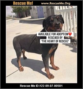 - California Rottweiler Rescue - ADOPTIONS - Rescue Me!