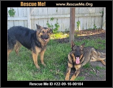 - South Carolina Dog Rescue - ADOPTIONS - Rescue Me!
