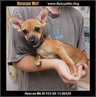 - Oregon Dog Rescue - ADOPTIONS - Rescue Me!