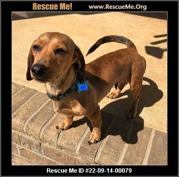 - South Carolina Dog Rescue - ADOPTIONS - Rescue Me!