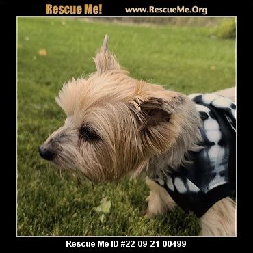 - Utah Dog Rescue - ADOPTIONS - Rescue Me!