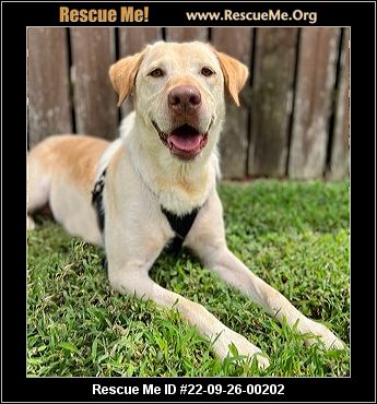 - South Carolina Dog Rescue - ADOPTIONS - Rescue Me!