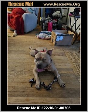 - West Virginia Dog Rescue - ADOPTIONS - Rescue Me!