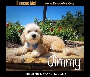 - California Poodle Rescue - ADOPTIONS - Rescue Me!