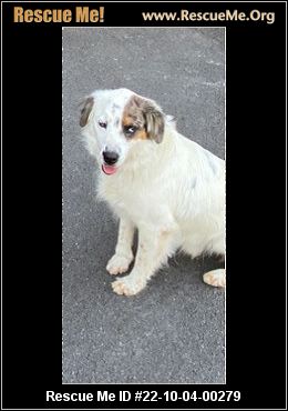 - Alabama Dog Rescue - ADOPTIONS - Rescue Me!