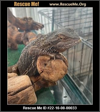 - New Jersey Reptile/Amphibian Rescue - ADOPTIONS - Rescue Me!