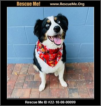 - South Dakota Dog Rescue - ADOPTIONS - Rescue Me!