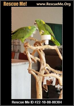 - Washington Pet Bird Rescue - ADOPTIONS - Rescue Me!