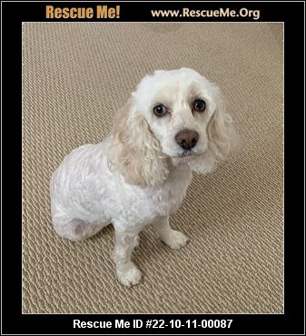 - West Virginia Dog Rescue - ADOPTIONS - Rescue Me!