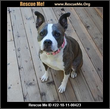 - Idaho Dog Rescue - ADOPTIONS - Rescue Me!