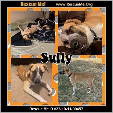 - Oklahoma Dog Rescue - ADOPTIONS - Rescue Me!