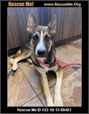 - Arizona Dutch Shepherd Rescue - ADOPTIONS - Rescue Me!
