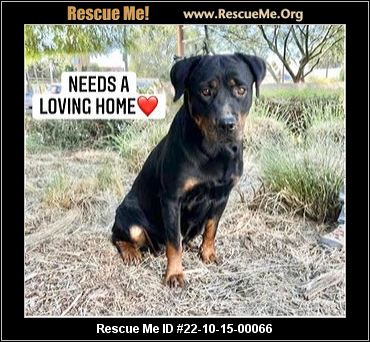 - California Rottweiler Rescue - ADOPTIONS - Rescue Me!