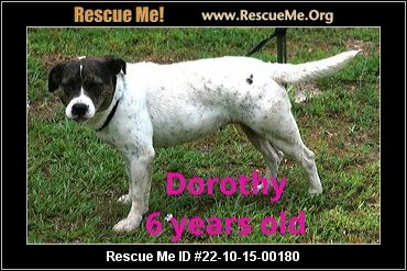 - Alabama Dog Rescue - ADOPTIONS - Rescue Me!